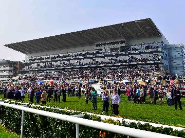 Racing | Arena Racing Company