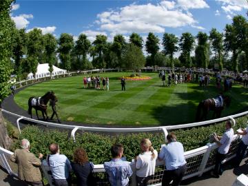 Arena Racing | Arena Racing Company