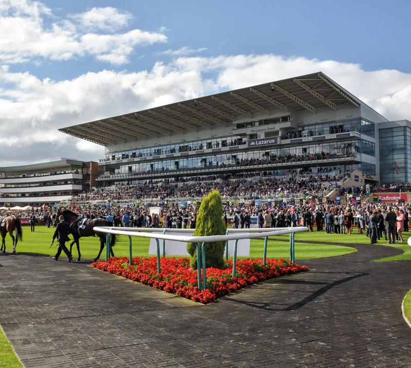 Large Scale Venue Hire | Your Venue | Arena Racing Company