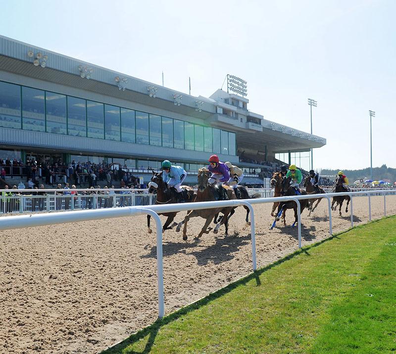 Our Unique Venues | Your Venue | Arena Racing Company