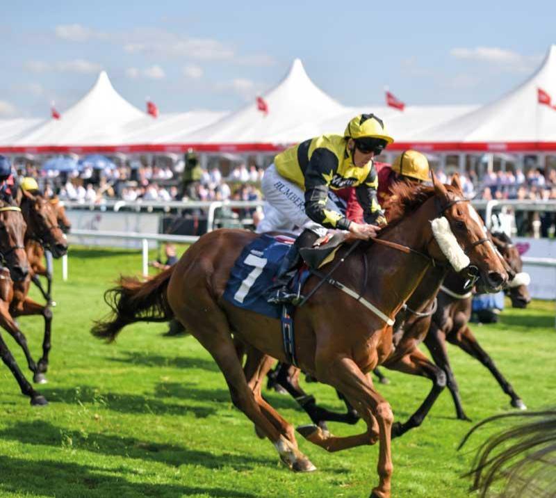 Arena Racing Company | ARC