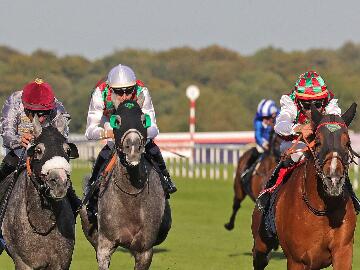 News Articles | Media Centre | Arena Racing Company