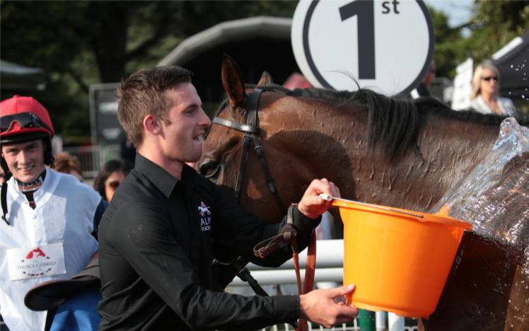 Arc And Racinggroom.com To Offer Racing Staff Badge Scheme